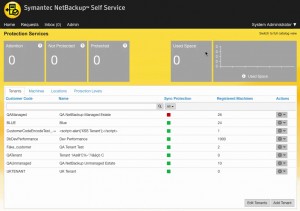 Netbackup Self Service Nss Overview Settlersoman What Is SAN Client In