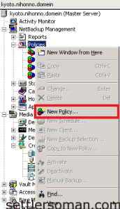 How to configure NetBackup policy to backup VMware VMs | Settlersoman ...