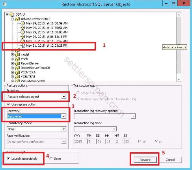 How to restore Microsoft SQL databases using NetBackup? | Settlersoman - A settler in the SDDC ...