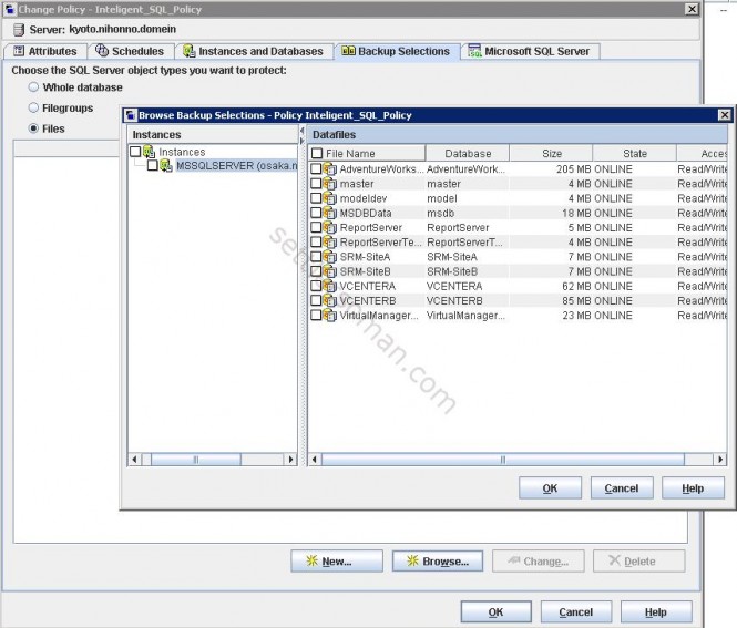 Veritas NetBackup 7.7 features: What is and how to use SQL Intelligent ...