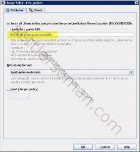 How to configure NetBackup LiveUpdate using CIFS or IIS? | Settlersoman - A settler in the SDDC ...